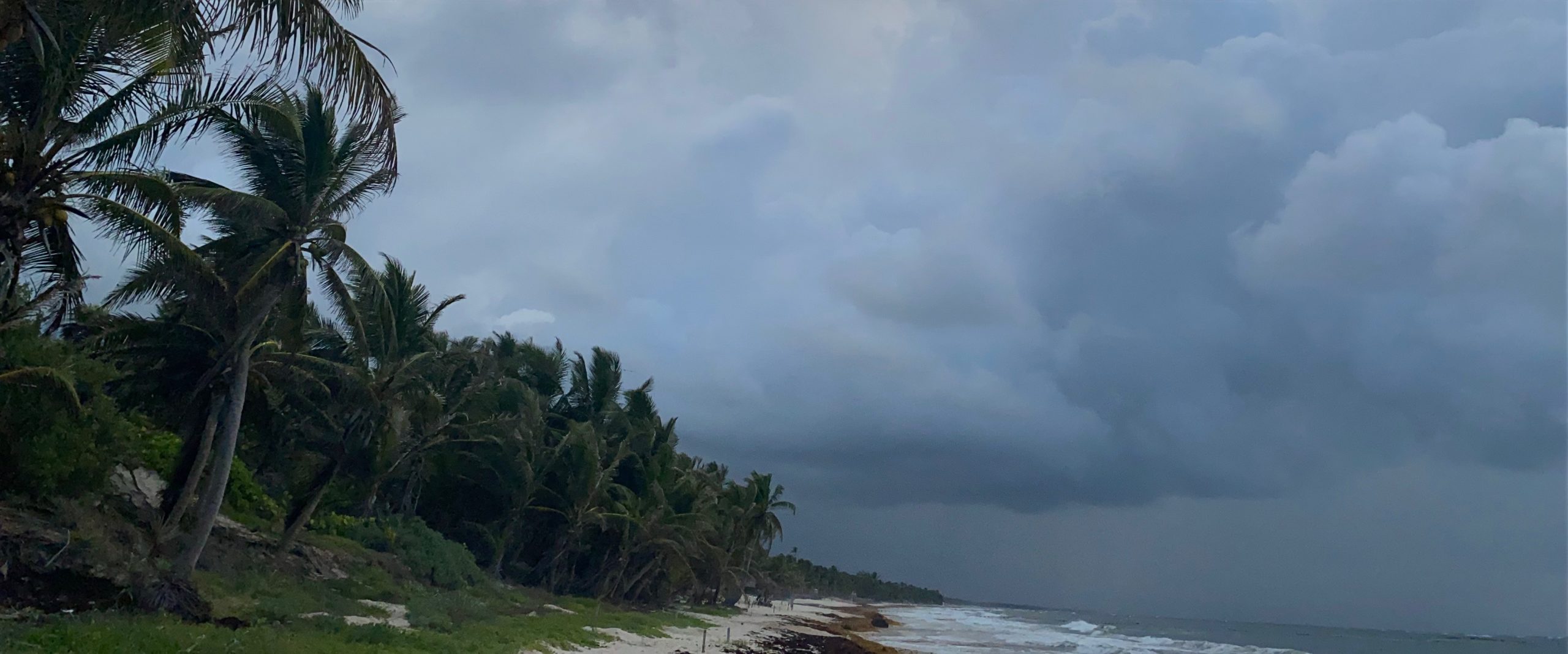 7.TULUM: Swim! | C I T I N E R A R I E S