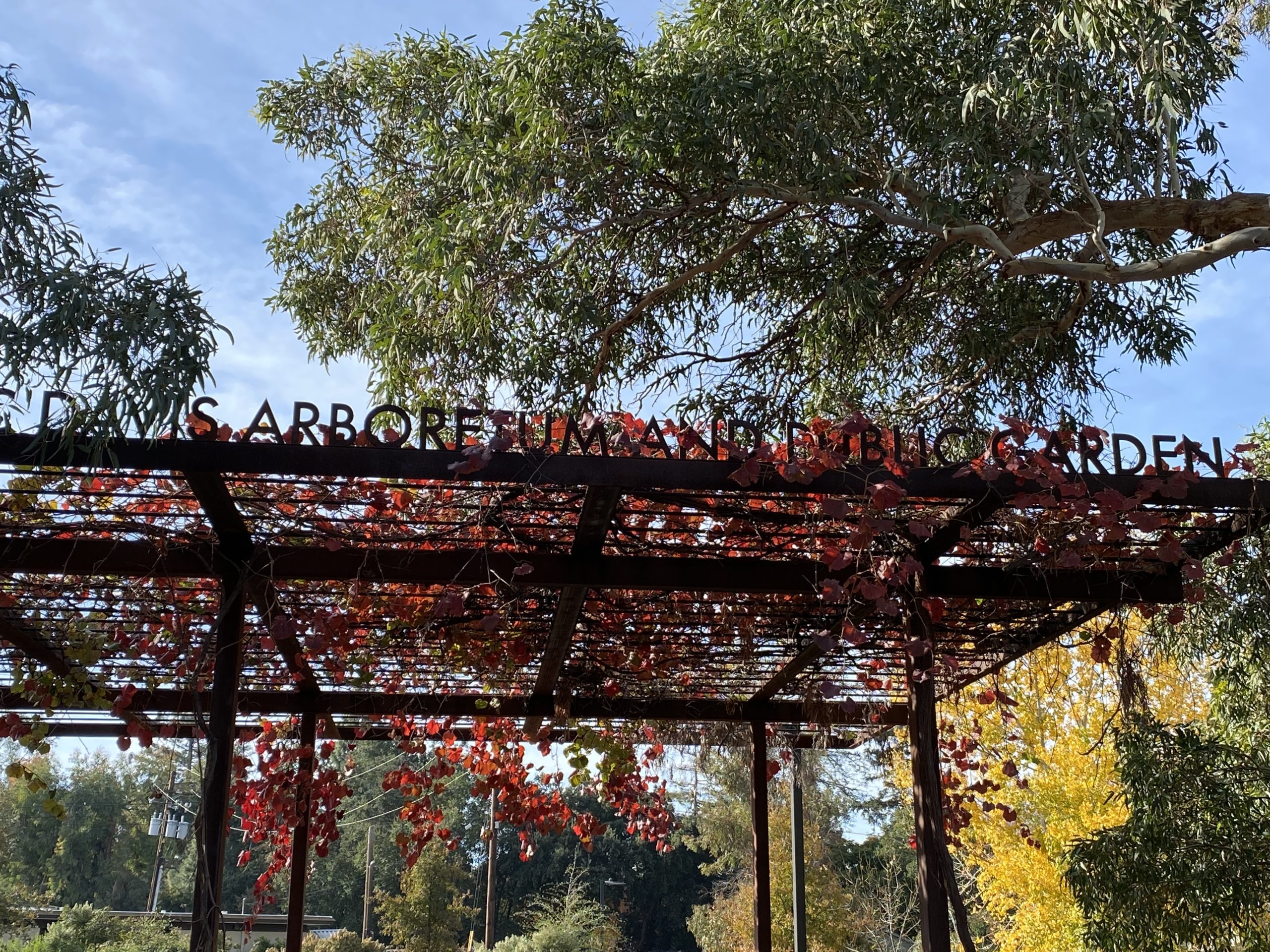 DAY TRIP: Davis… Arboretum & Garden | C I T I N E R A R I E S